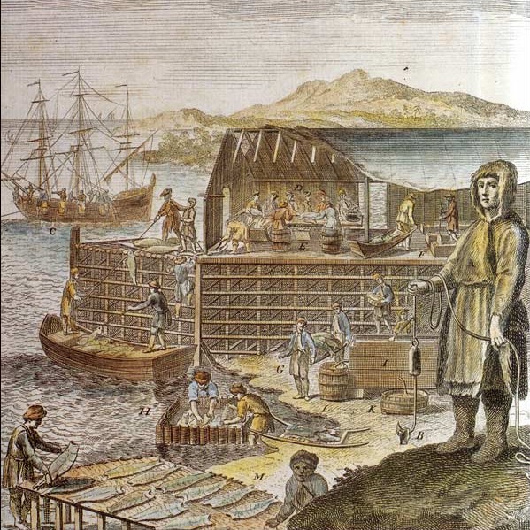 Founding Fish: 17th Century Cod Fishing - Maine’s First Ship